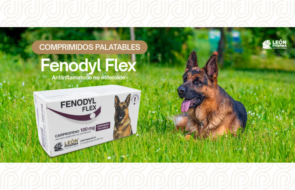 Leon Pharma